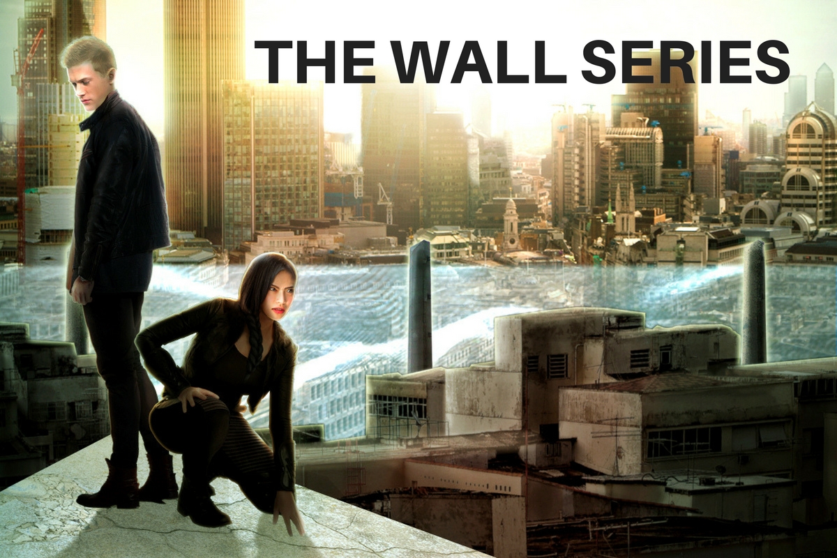 The Wall Series - Alison Ingleby